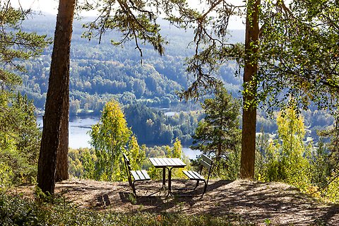 Sollefteå Camping - Sollefteå kommun